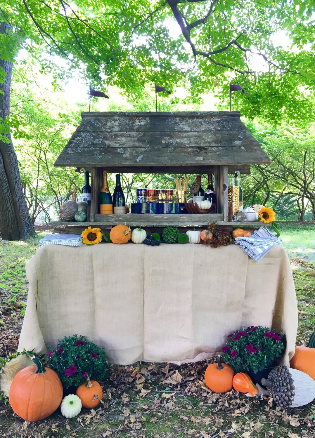 Harvest Haven Fall Home Tour: Ideas for Decorating your Home & Garden