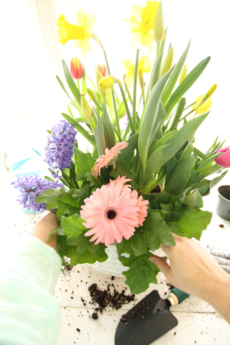 Planting a Colorful Spring Flower Container Garden for Easter