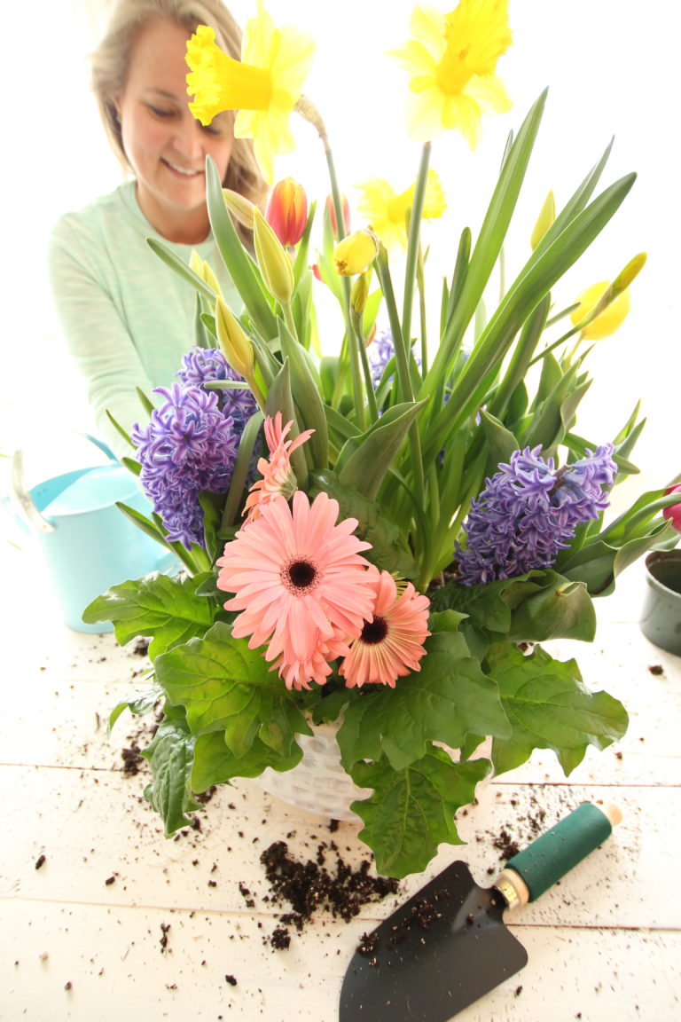 Planting a Colorful Spring Flower Container Garden for Easter